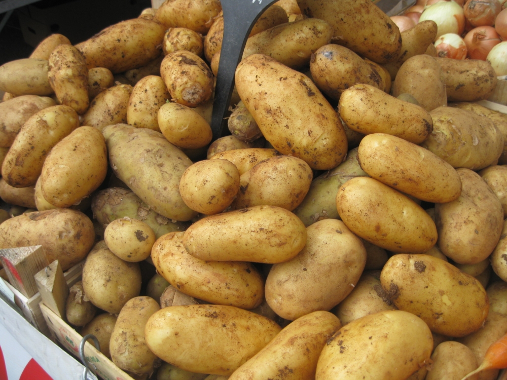 Gli aspetti nutrizionali della patata - Domenico Citterio & C.